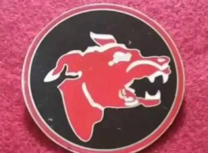 Ada "Anjing Nica" di Drone Intai Taktis Sperwer Belanda, Terkait ...